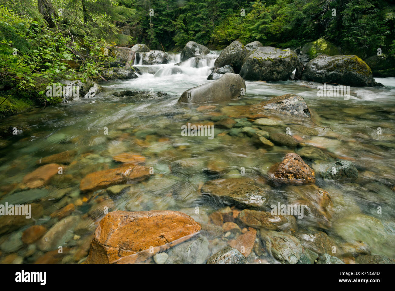 Rocks in creek bed hi-res stock photography and images - Alamy