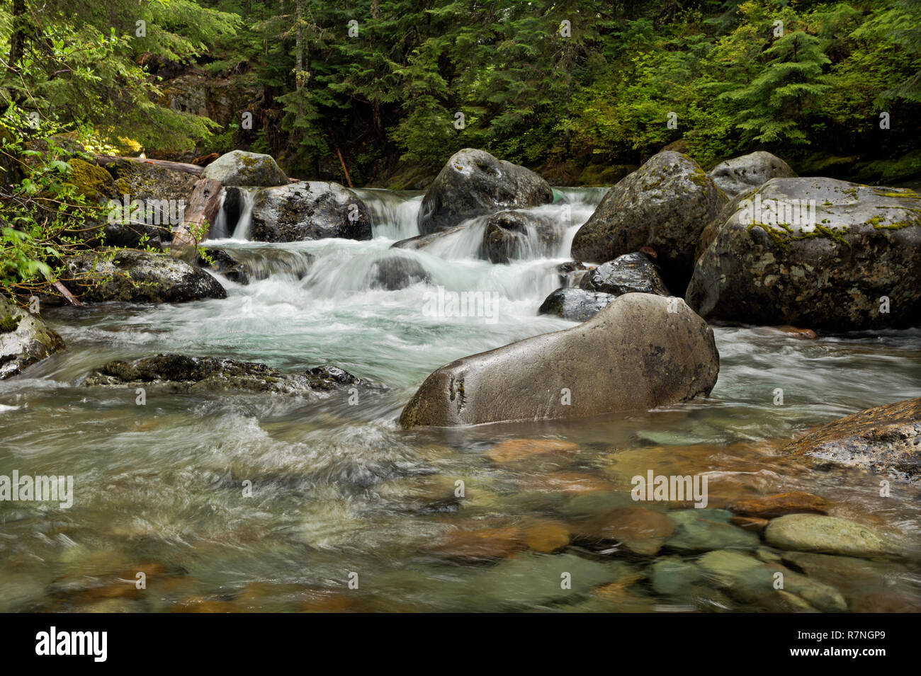 Rocks in creek bed hi-res stock photography and images - Alamy