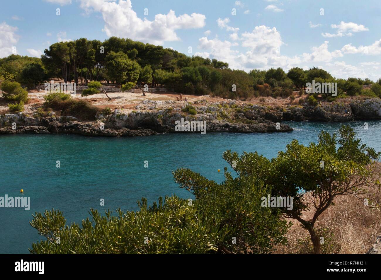 Italy, Puglia, Peninsula of Salento, Creek to the turquoise waters to ...