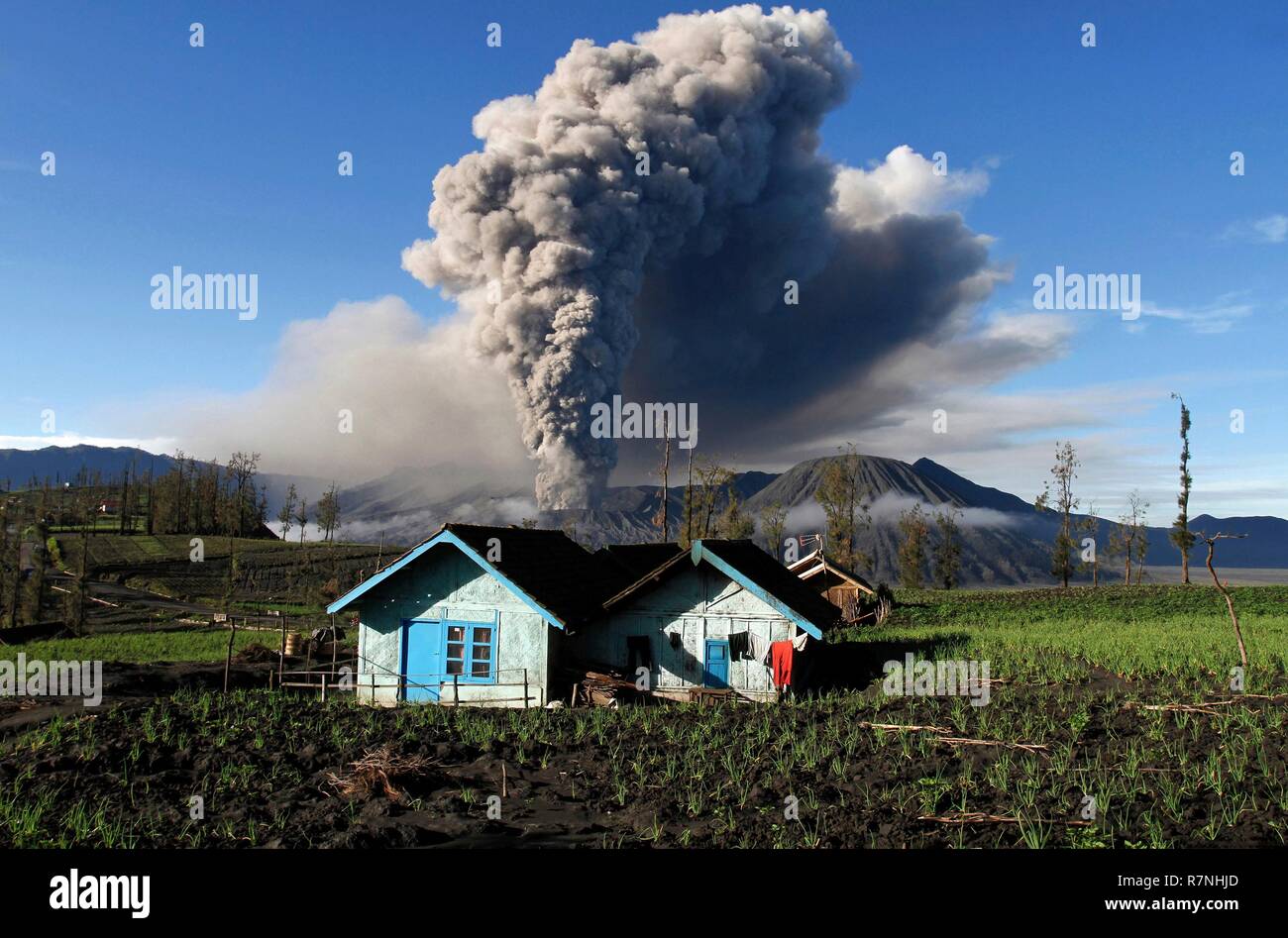 House in indonesia hi-res stock photography and images - Alamy