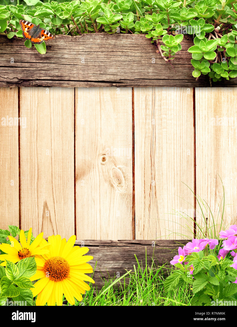 Summer background with old wooden plank, grass and green leaves Stock ...