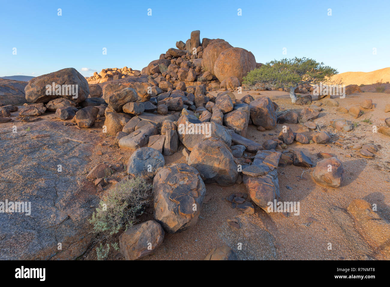 Large rocks and a small tree Stock Photo - Alamy