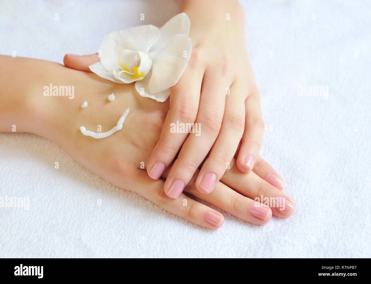 Beautiful woman hands with cream. Skincare concept Stock Photo - Alamy