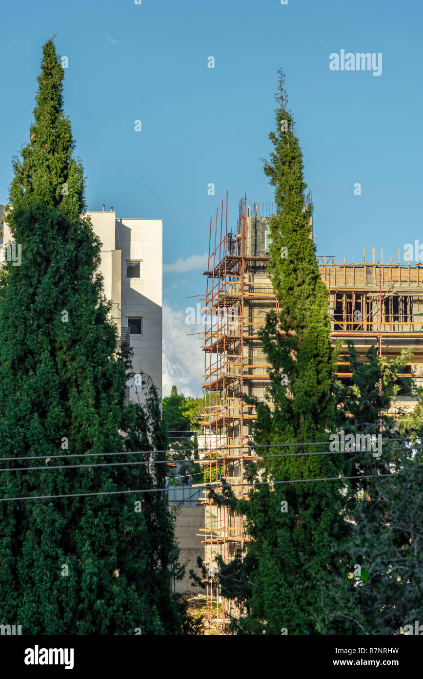Tree scaffolding hi-res stock photography and images - Alamy