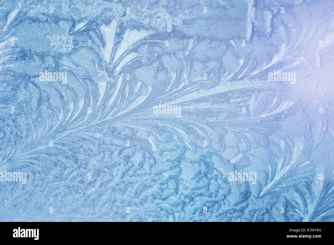 Ice patterns on winter glass Stock Photo - Alamy