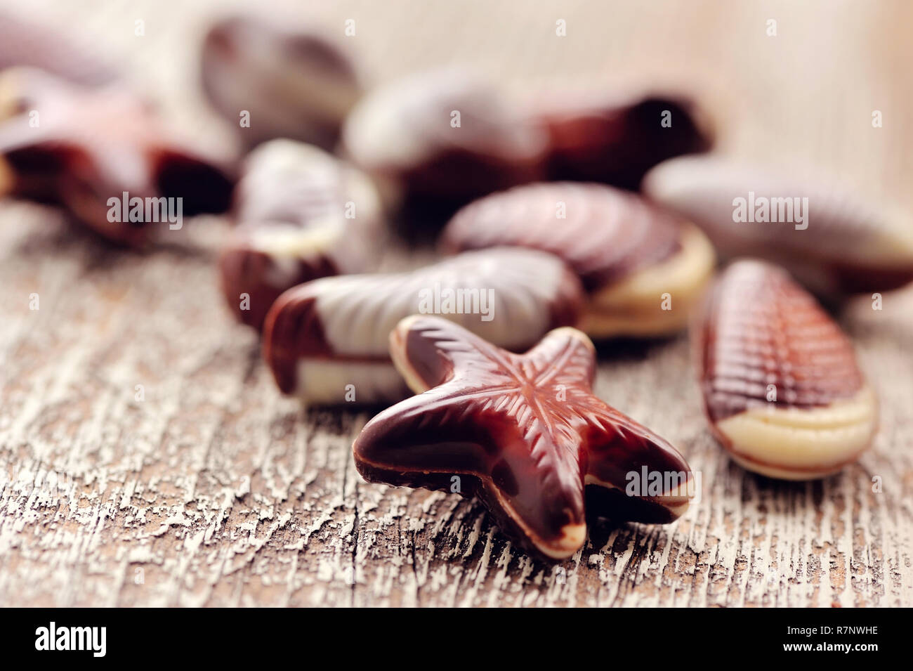 Belgian chocolate seashells hi-res stock photography and images - Alamy