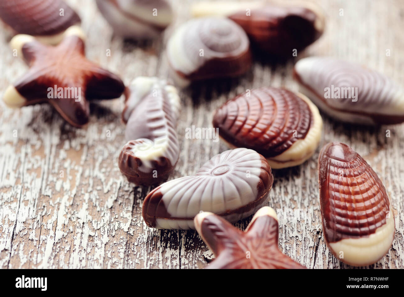 Belgian Chocolate Seashells High Resolution Stock Photography and ...