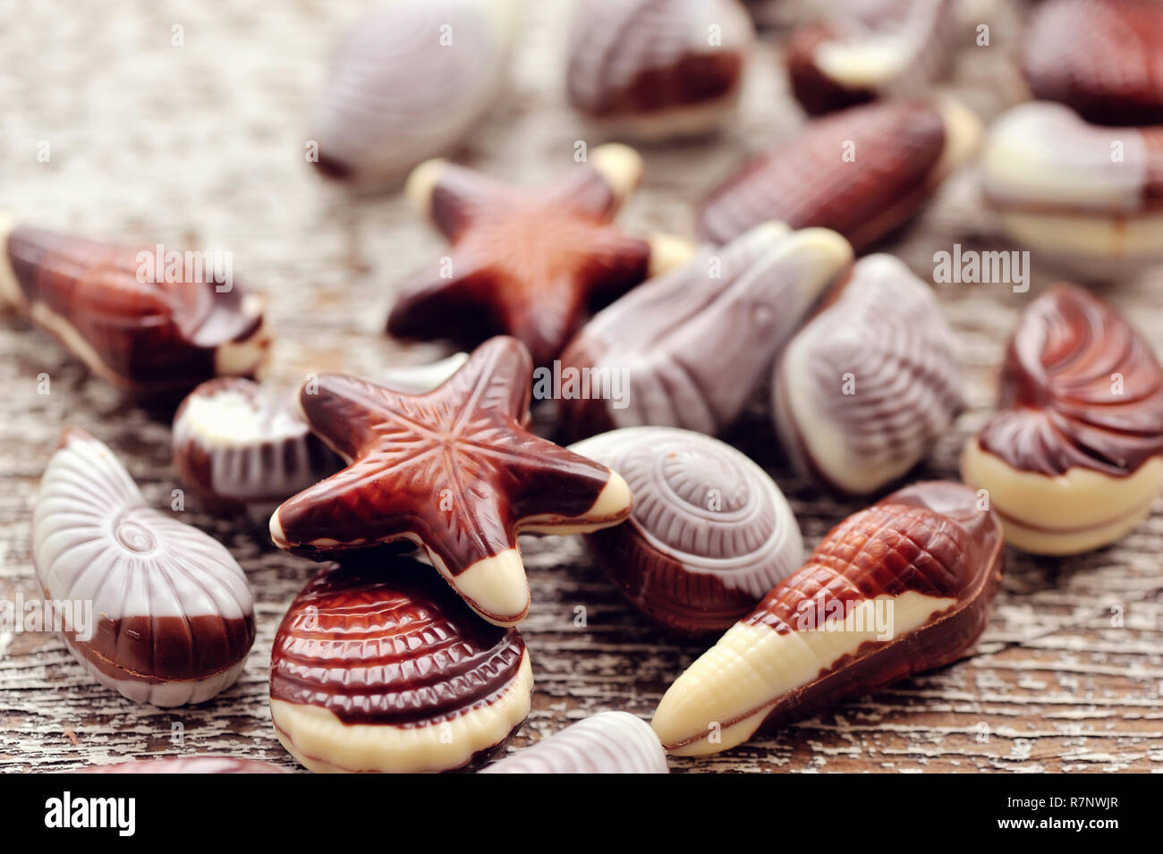 Belgian chocolate seashells hi-res stock photography and images - Alamy