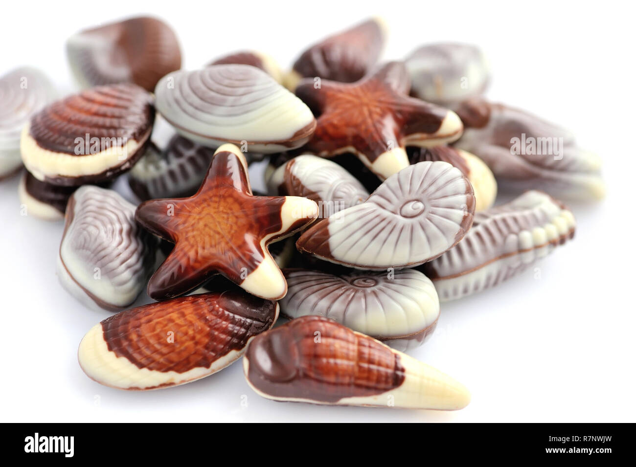 Swiss chocolate seashells on white background Stock Photo - Alamy
