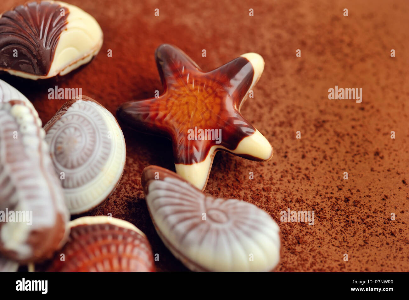 Mixed of chocolate seashell candies Stock Photo - Alamy