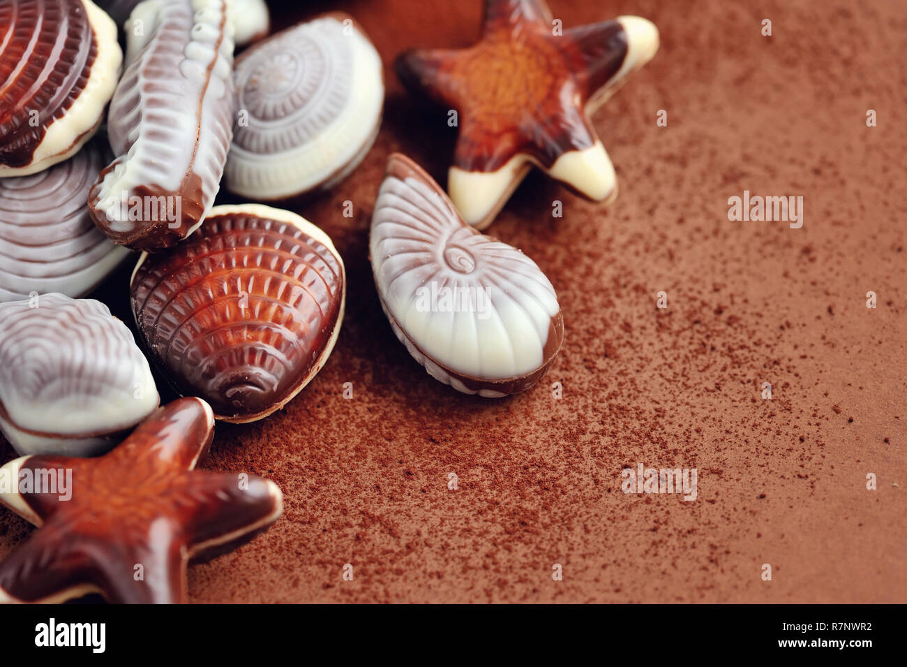 Belgian chocolate seashells hi-res stock photography and images - Alamy
