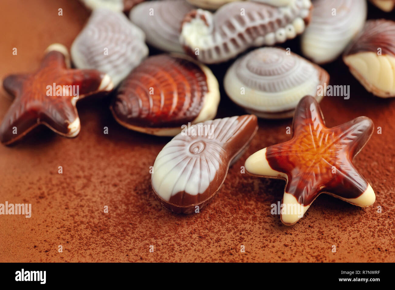 Mixed of chocolate seashell candies Stock Photo - Alamy
