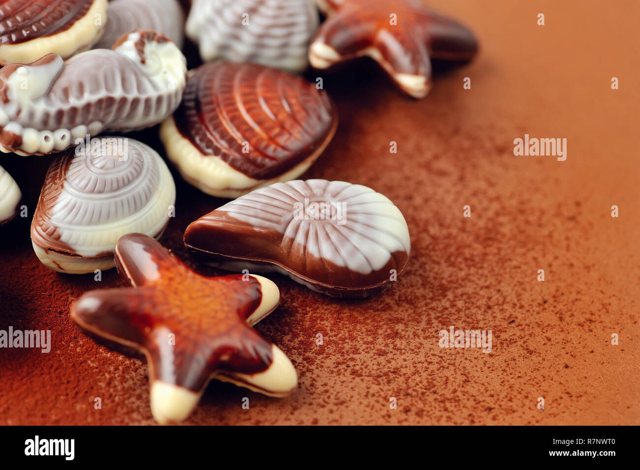 Selective focus seashells hi-res stock photography and images - Alamy
