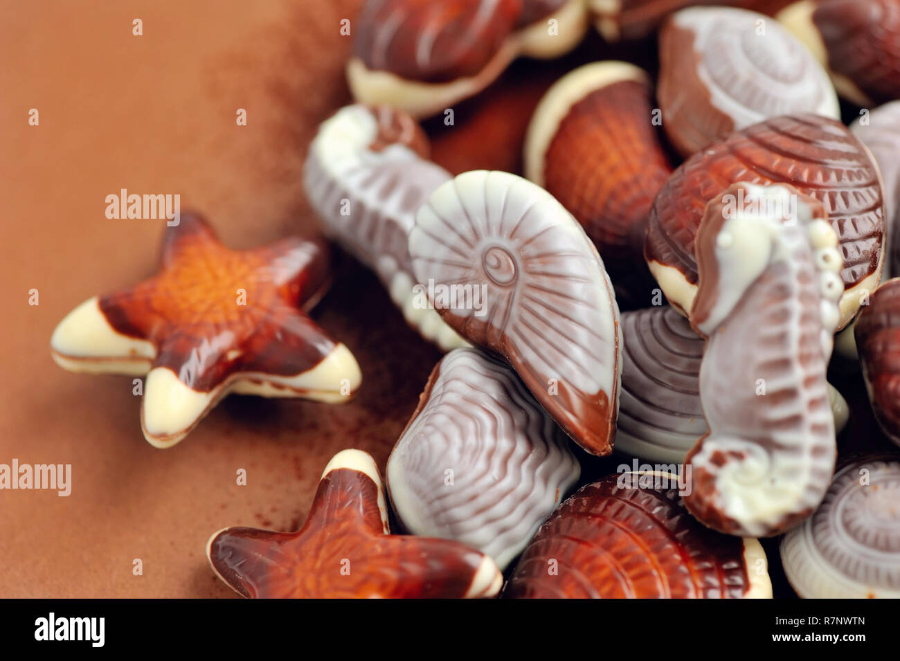 Mixed of chocolate seashell candies Stock Photo - Alamy