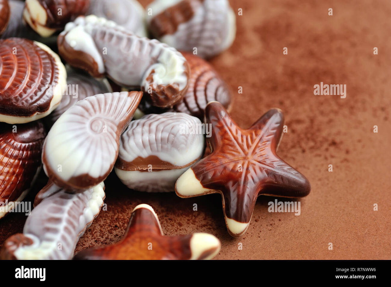 Belgian chocolate seashells hi-res stock photography and images - Alamy