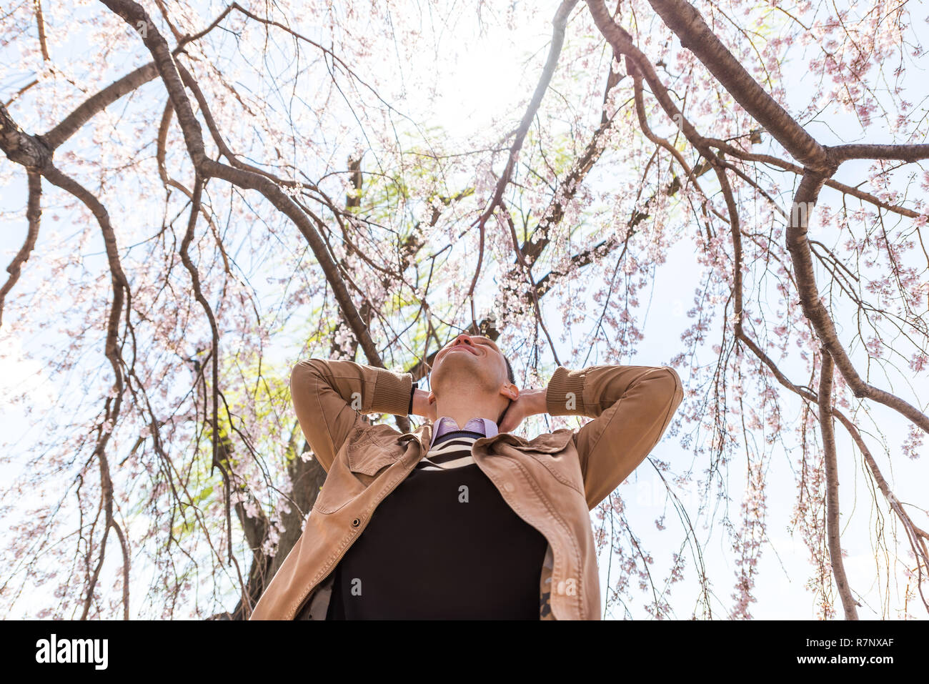 Man standing with hands behind head hi-res stock photography and images ...