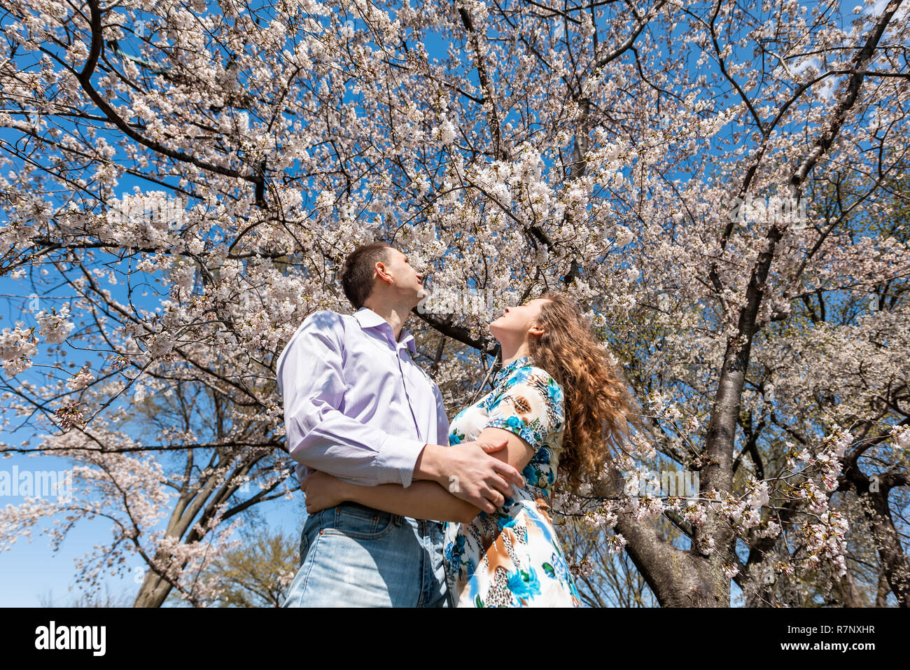 Couple under cherry blossom tree hi-res stock photography and images ...