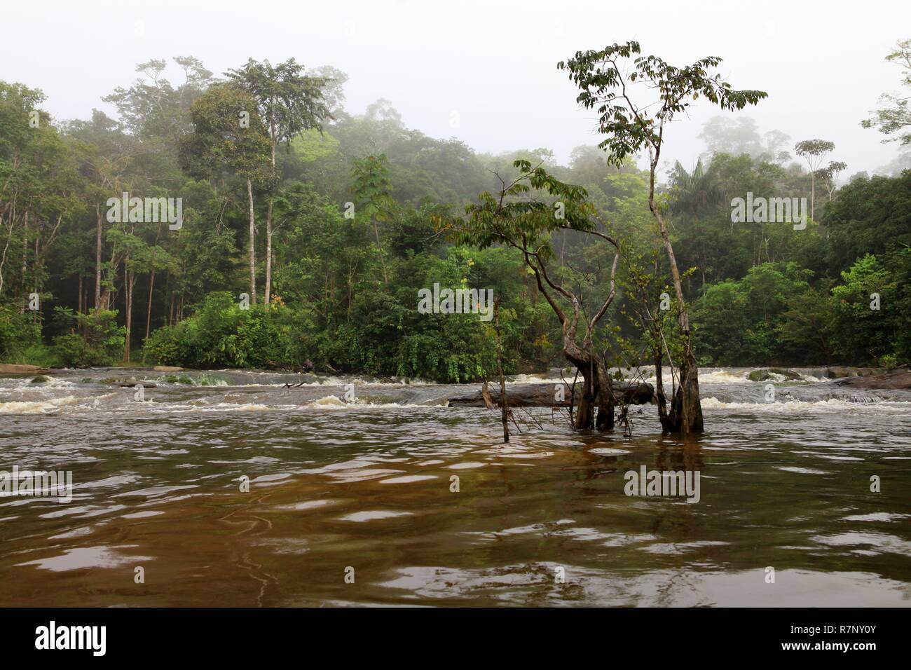 Oyapock High Resolution Stock Photography and Images - Alamy