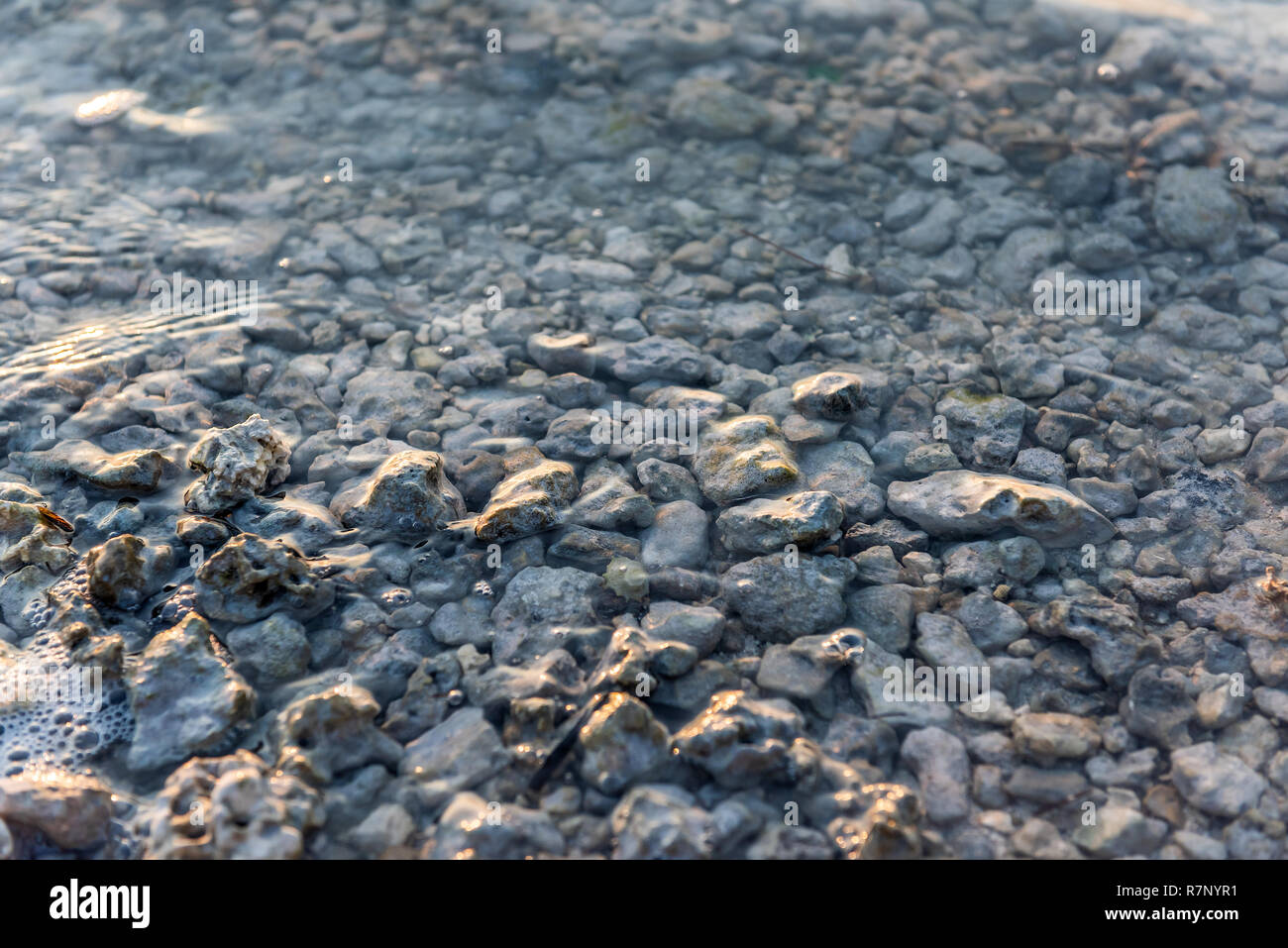 Sunset in Florida Keys, with closeup of rocky beach rocks shore shallow ...