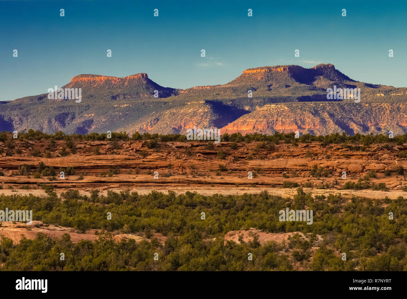 Bears Ears Buttes, once part of Bears Ears National Monument, viewed ...