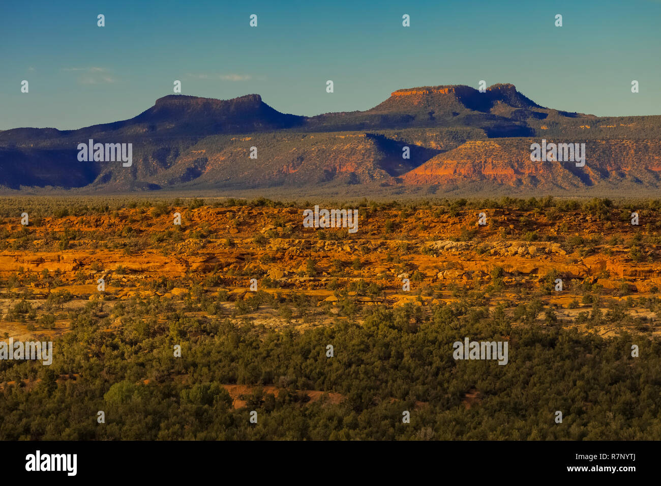 Bears Ears Buttes, once part of Bears Ears National Monument, viewed ...