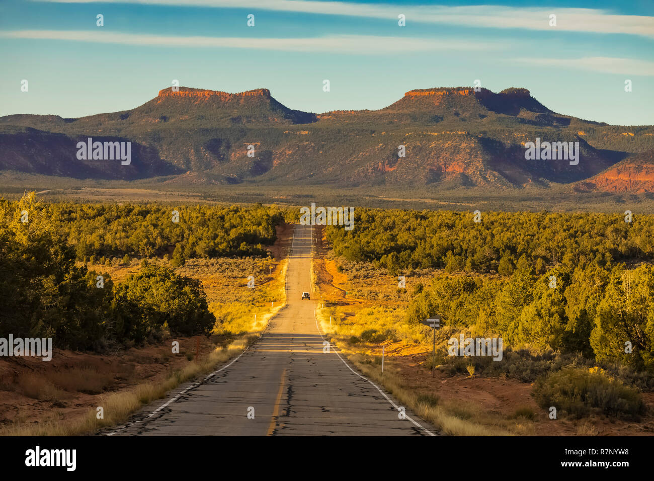 Bears Ears Buttes, once part of Bears Ears National Monument, viewed ...