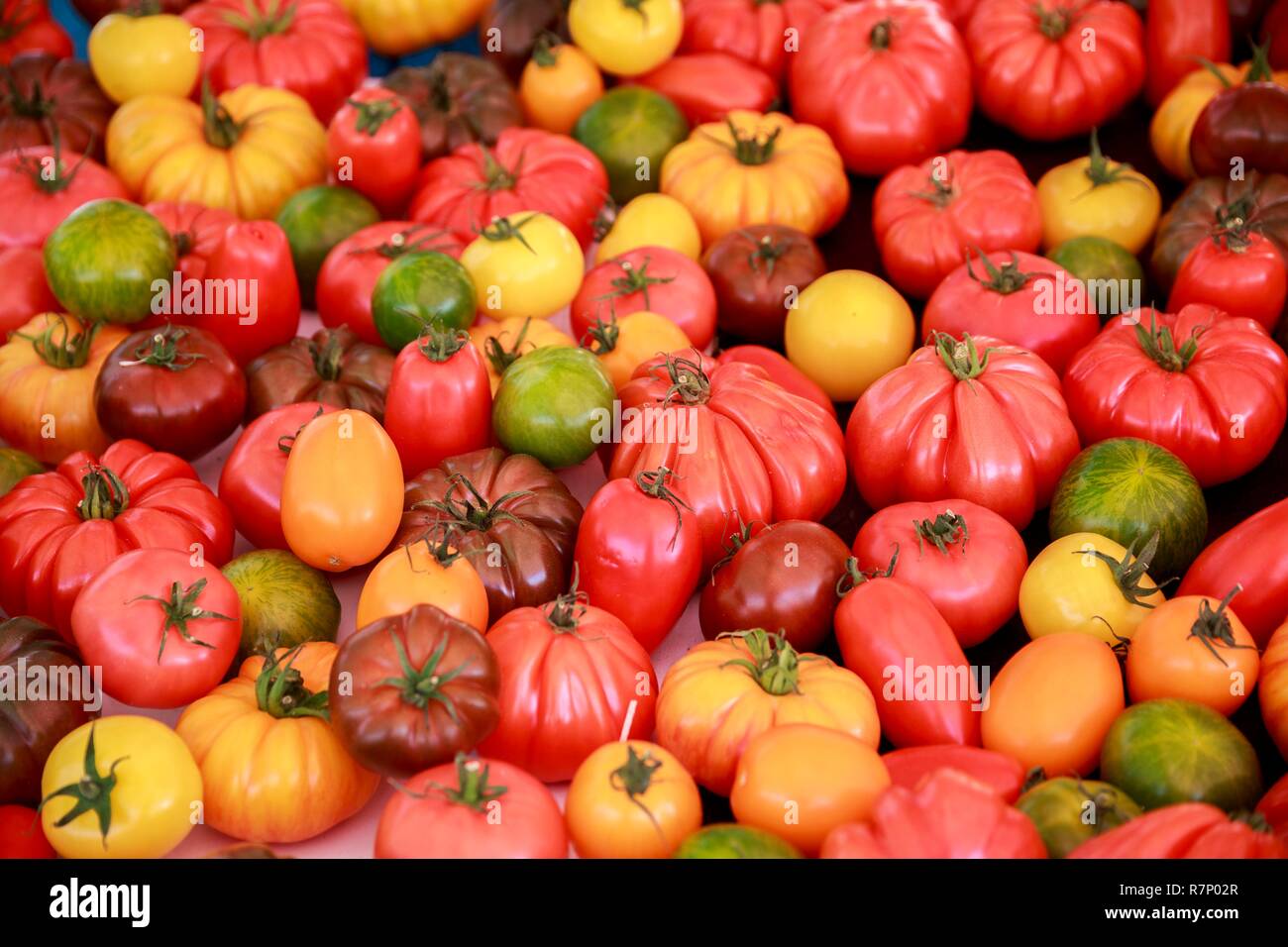 Nice tomato hi-res stock photography and images - Alamy