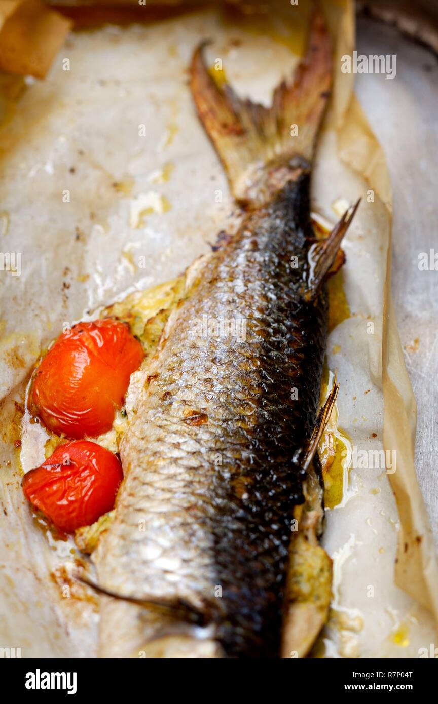 Senegal fish hi-res stock photography and images - Alamy