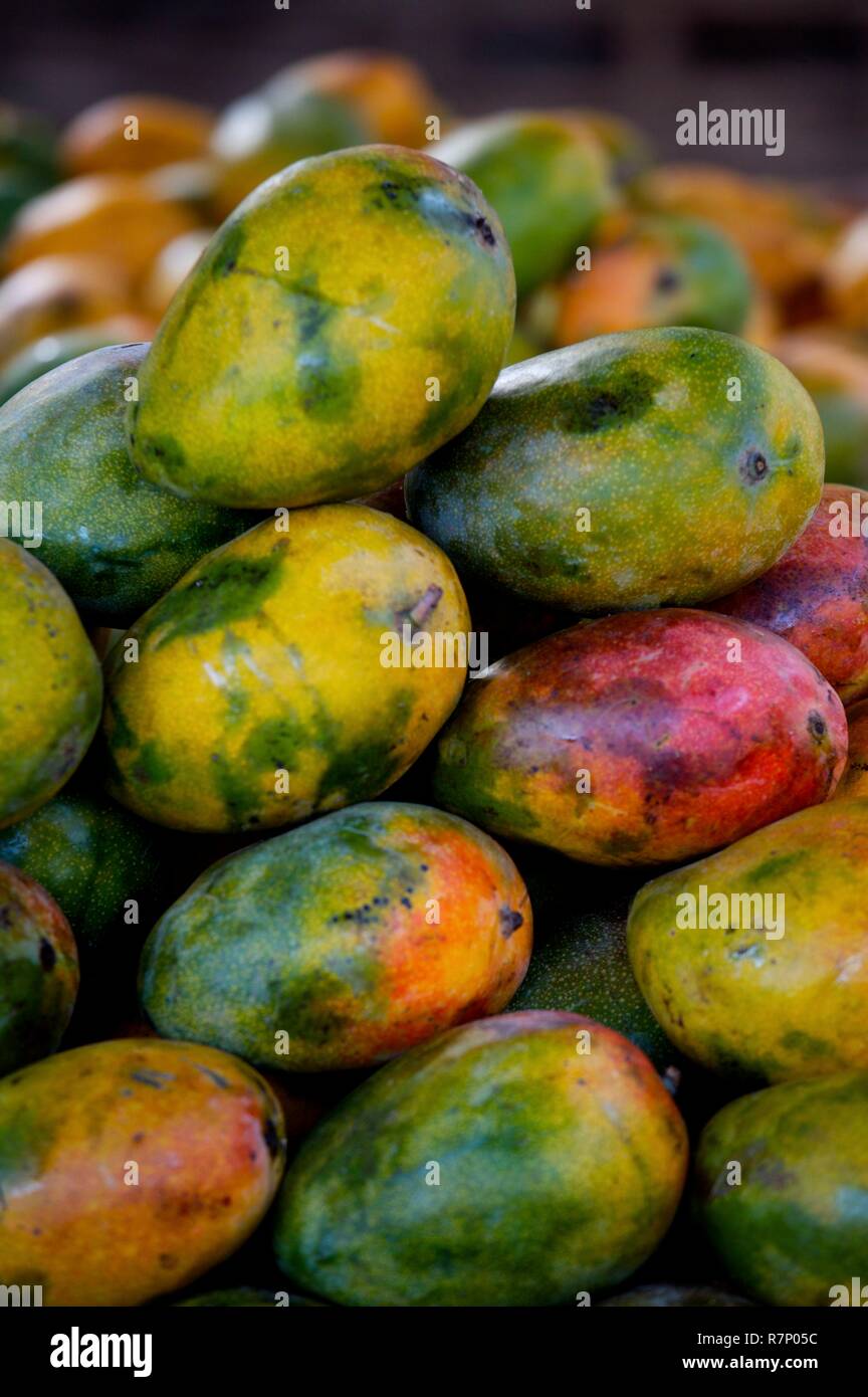 Senegal, selling mangos on the street Stock Photo - Alamy