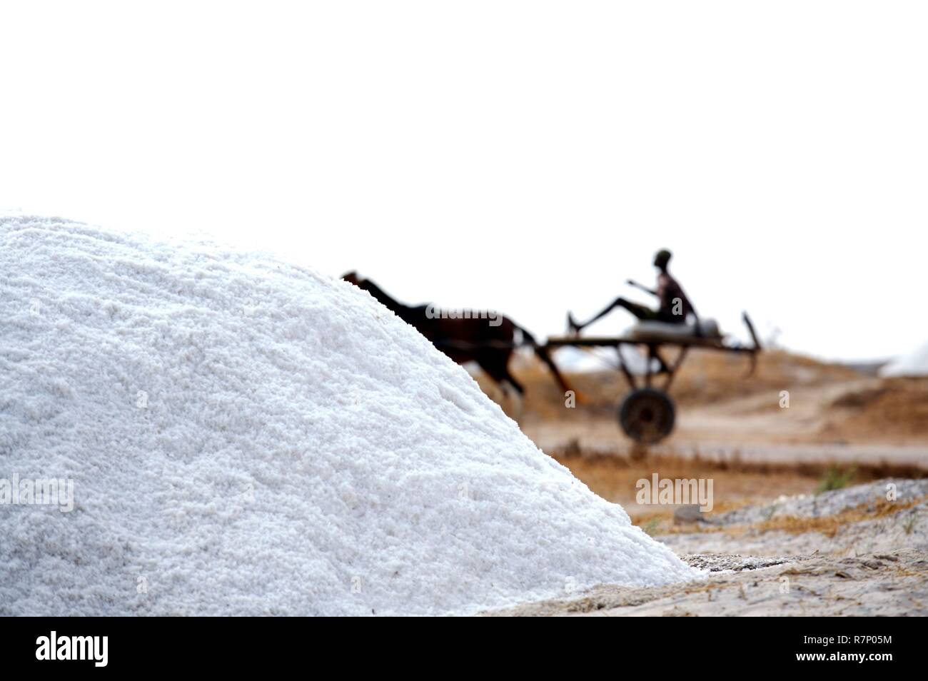 Senegal, salt collection in the bolongs Stock Photo - Alamy
