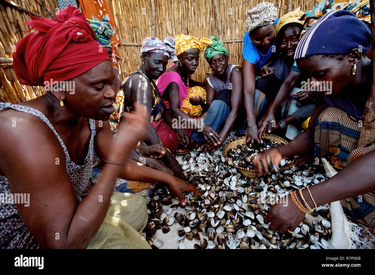 Senegal, shelling hulls Stock Photo - Alamy