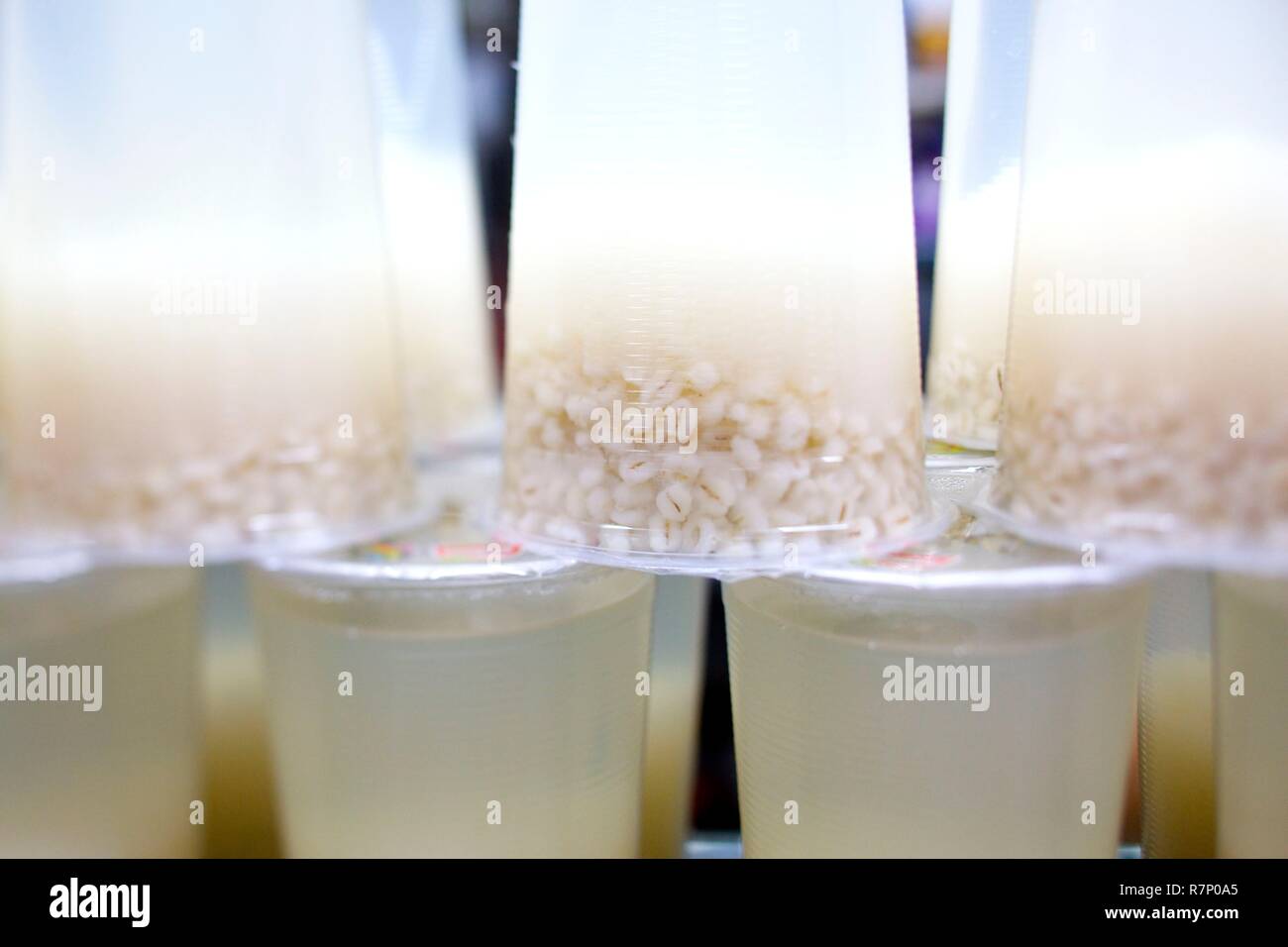 Singapore, street food, fermented wheat in China town Stock Photo - Alamy