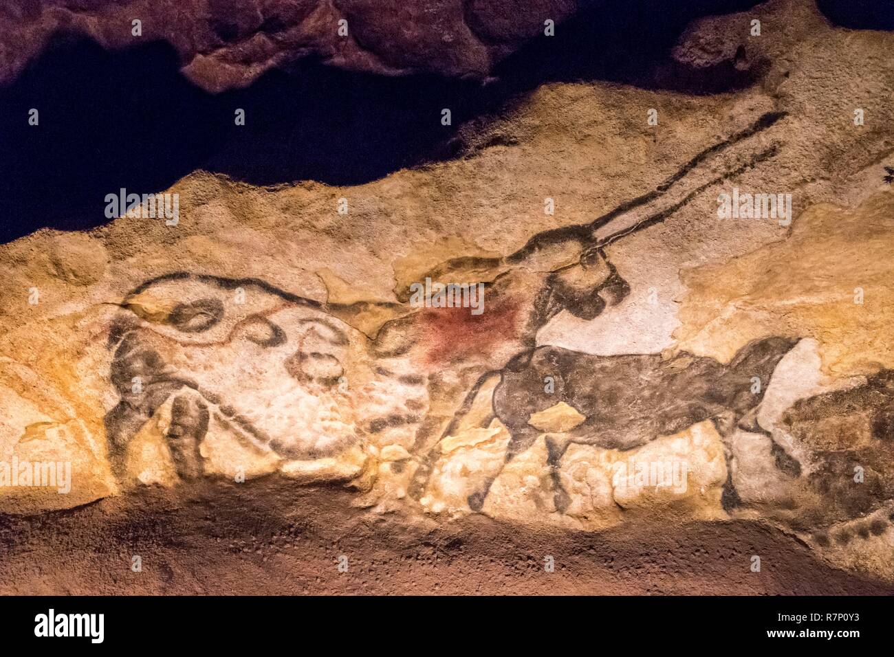 Site Of Ancient Cave Drawings In France's Dordogne at Linda Chin blog