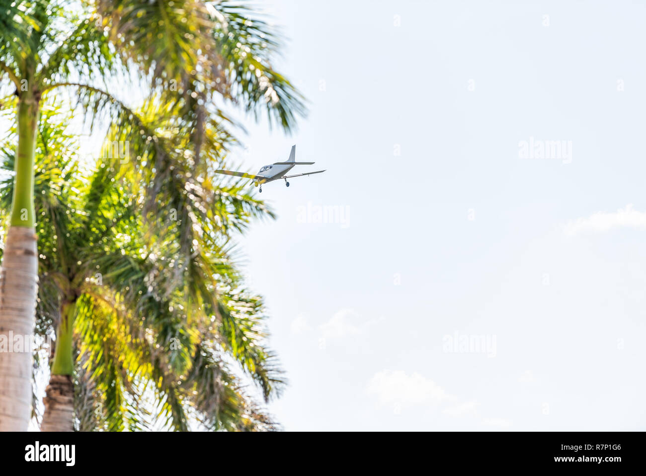 Plane in sky palm trees hi-res stock photography and images - Alamy