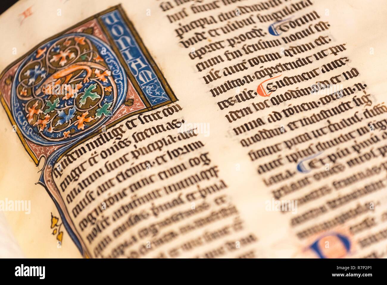 France, Manche, Avranches, the Scriptorial, Museum of Manuscripts of ...