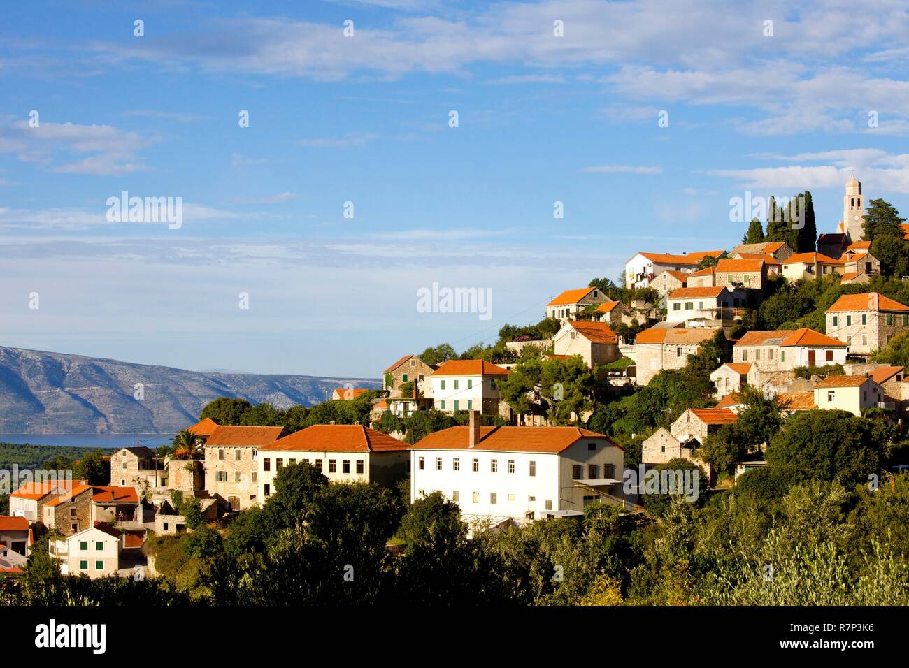 Croatia, Dalmatia, Dalmatian coast, Hvar island, Vrisnik Stock Photo ...