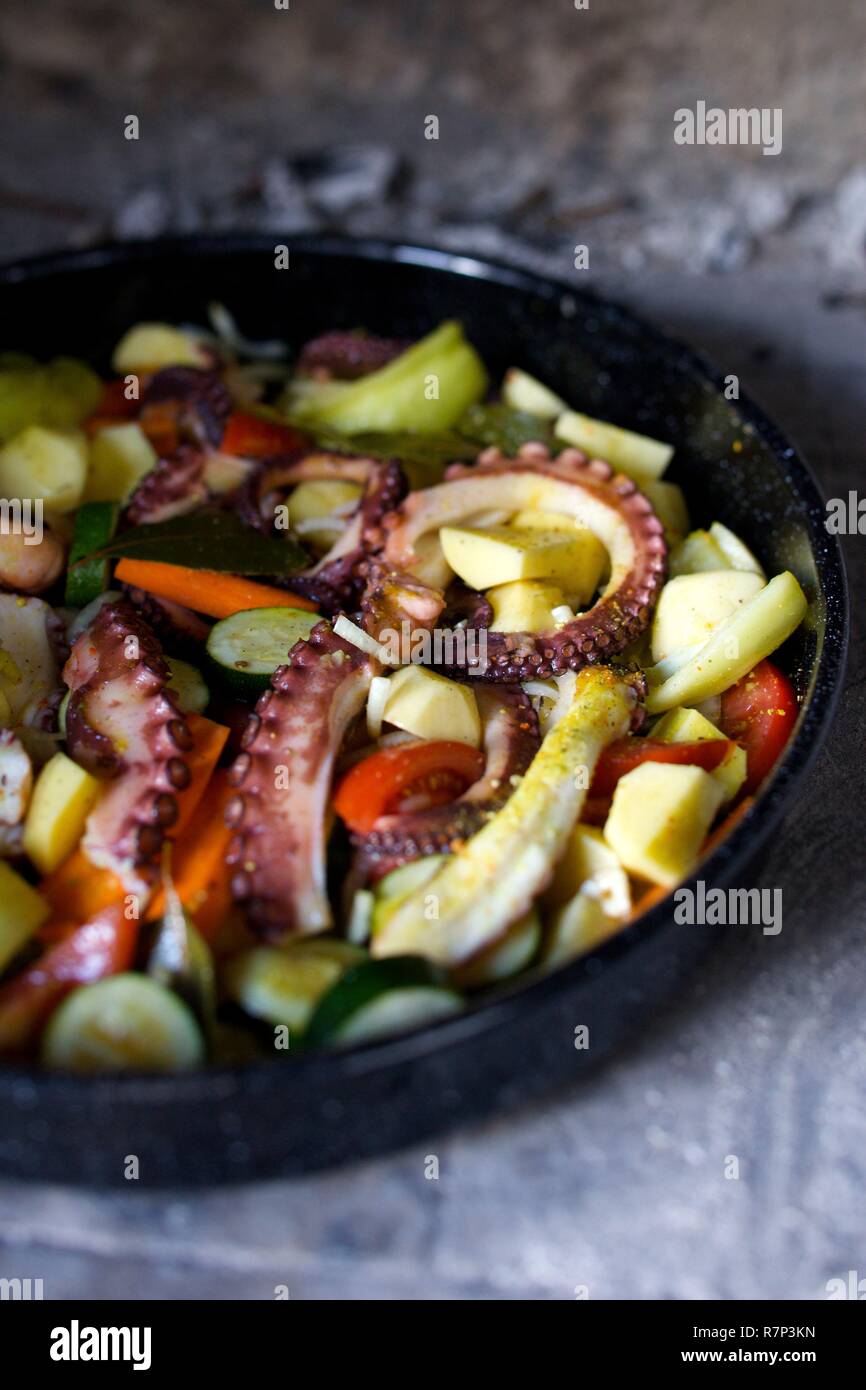 Croatia, Dalmatia, Dalmatian coast, Hvar island, Jelsa, Octopus Peka ...