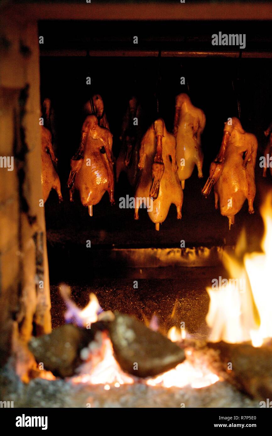 Lacquered duck hi-res stock photography and images - Alamy