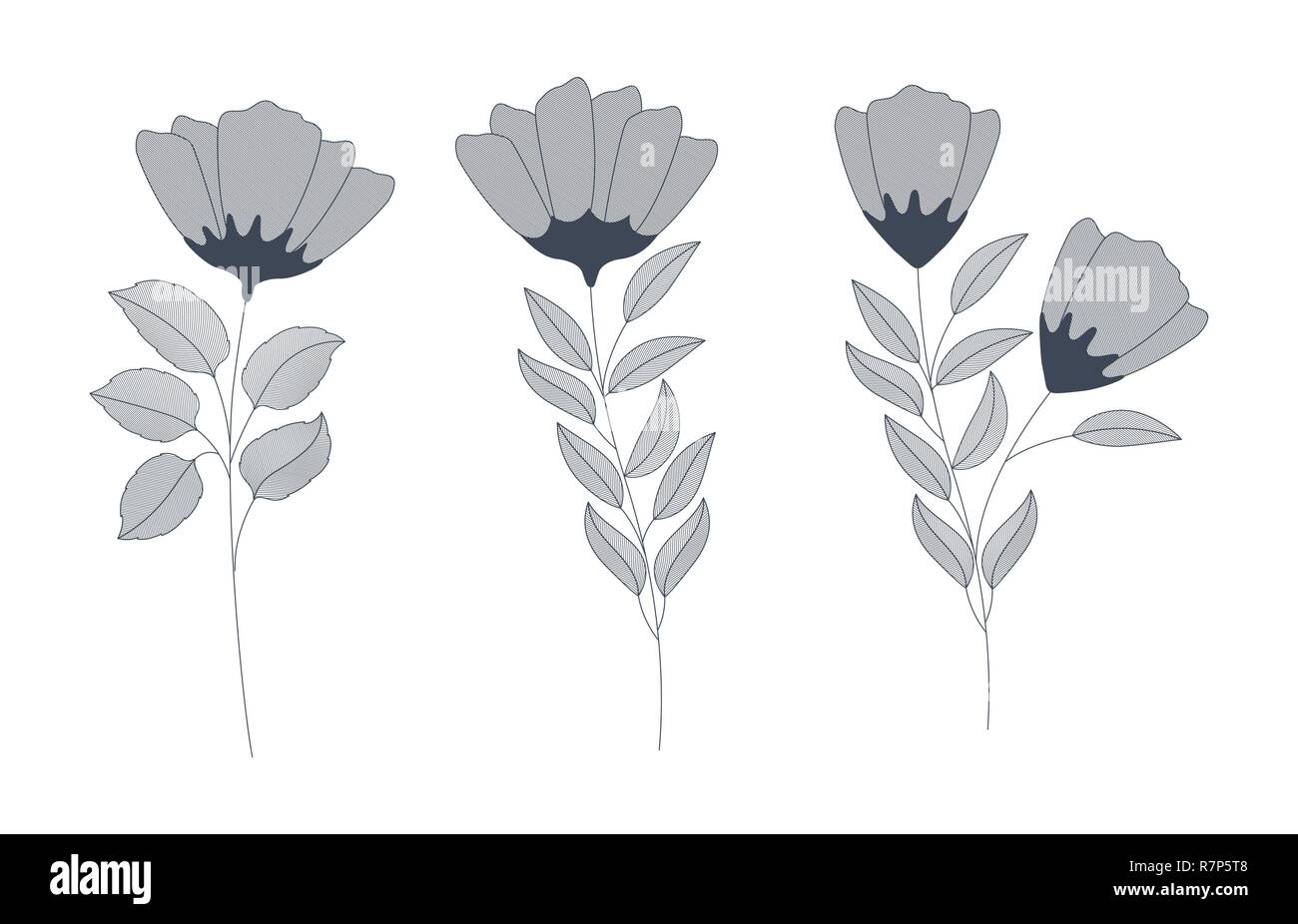 Diverse as the flora Stock Vector Images - Alamy