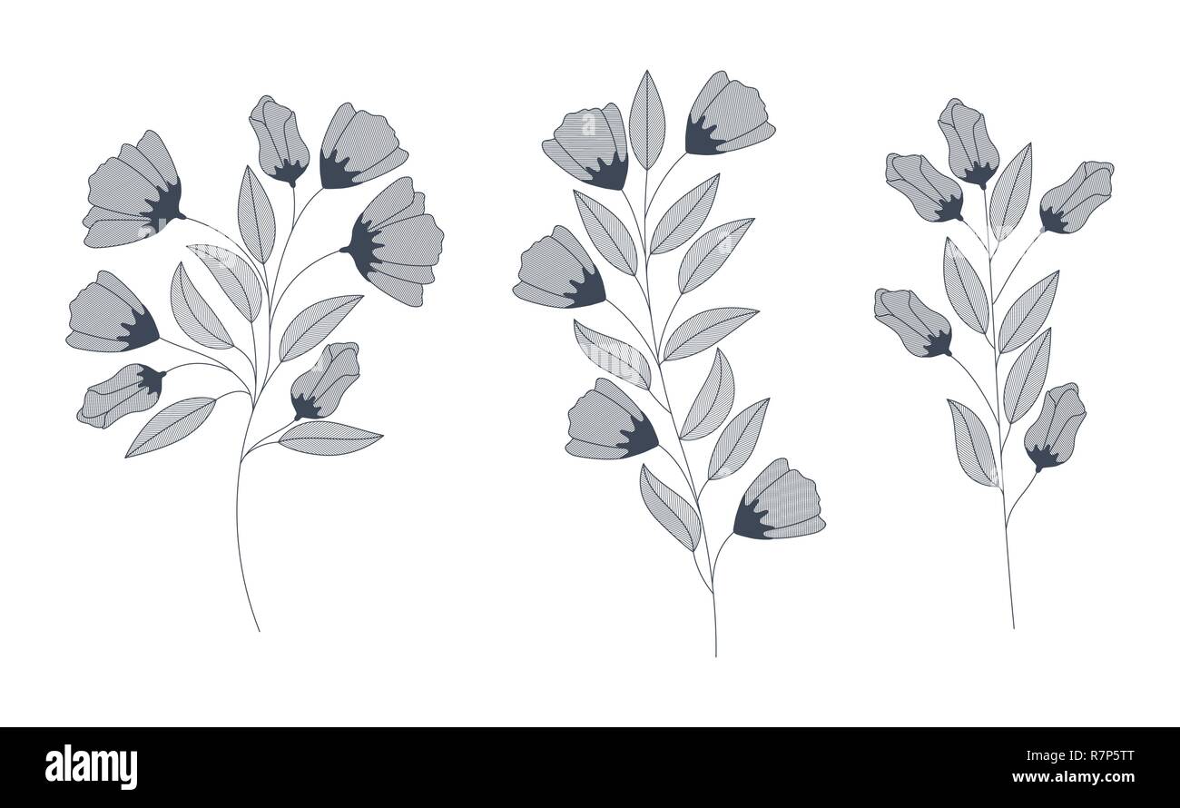 set of monochrome flowers Stock Vector Image & Art - Alamy