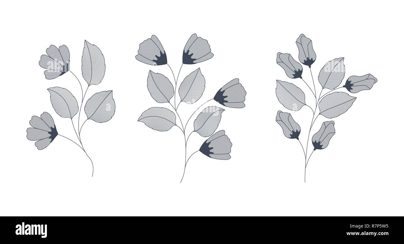 set of monochrome flowers Stock Vector Image & Art - Alamy