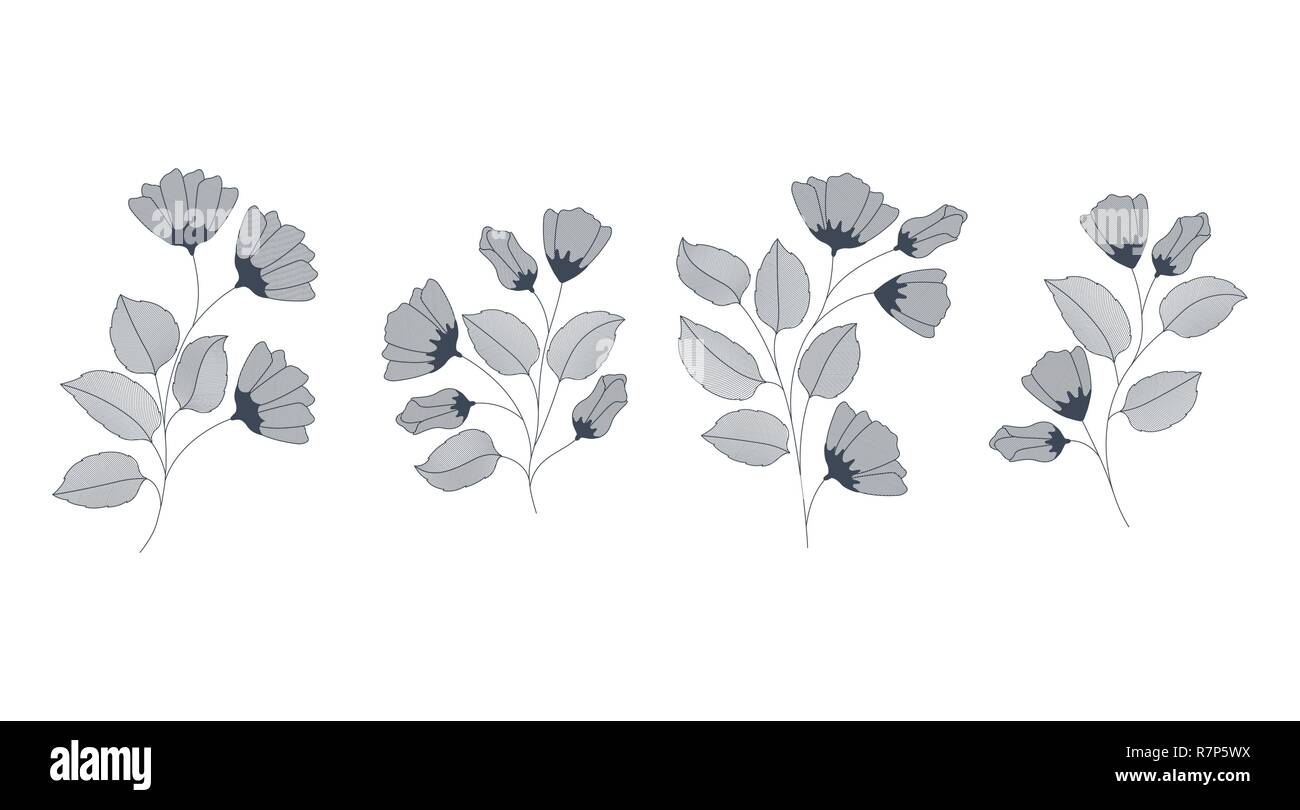 set of monochrome flowers Stock Vector Image & Art - Alamy