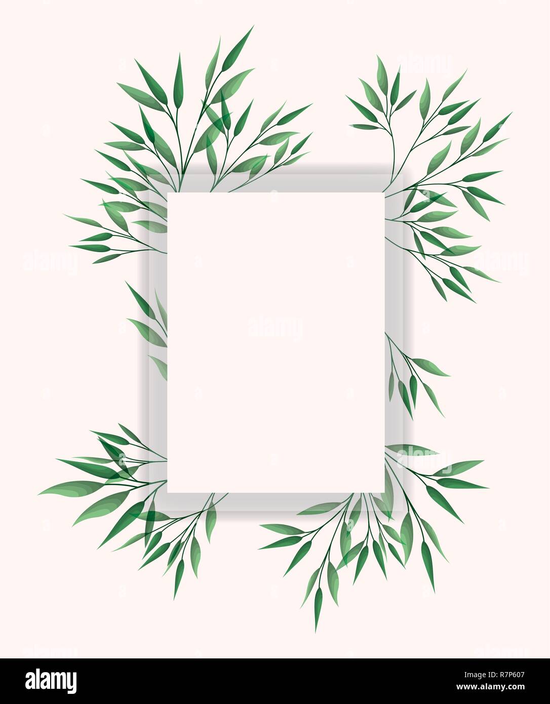 square frame with laurel leafs Stock Vector Image & Art - Alamy