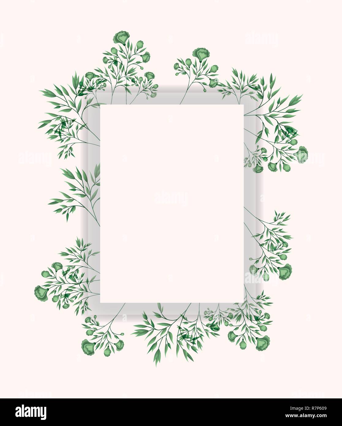 square frame with laurel leafs Stock Vector Image & Art - Alamy