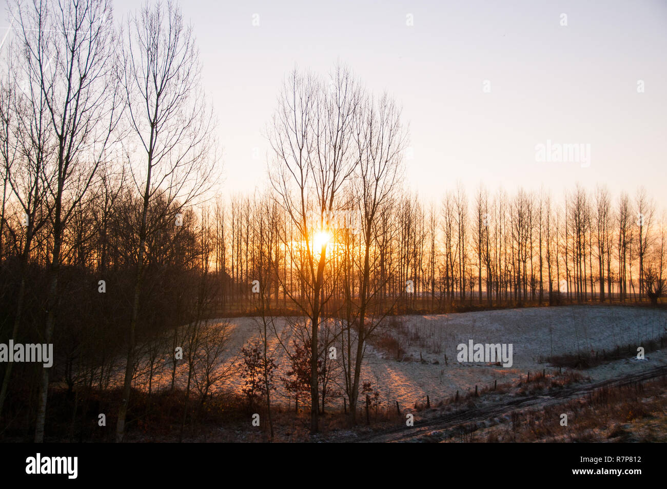 Shown in bit hi-res stock photography and images - Alamy