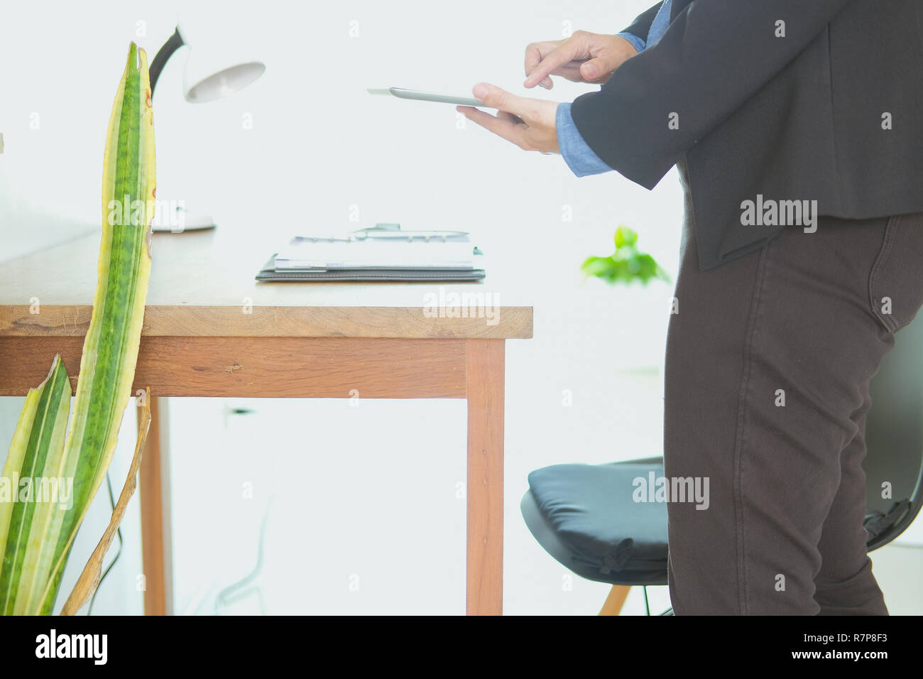 woman organizing plan with tablet. businesswoman working at workplace ...