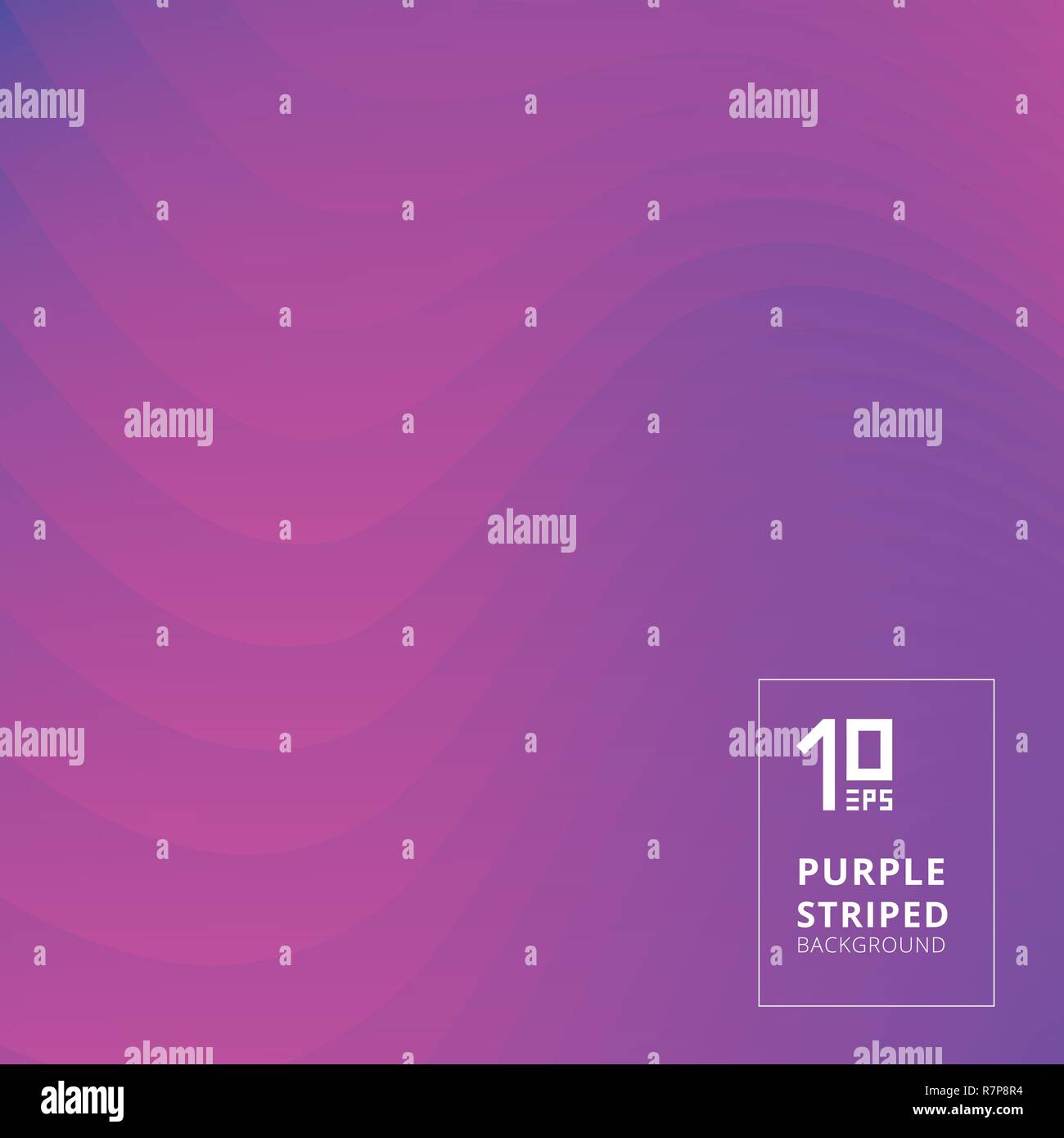 Abstract purple striped lines wave pattern background and texture. You ...
