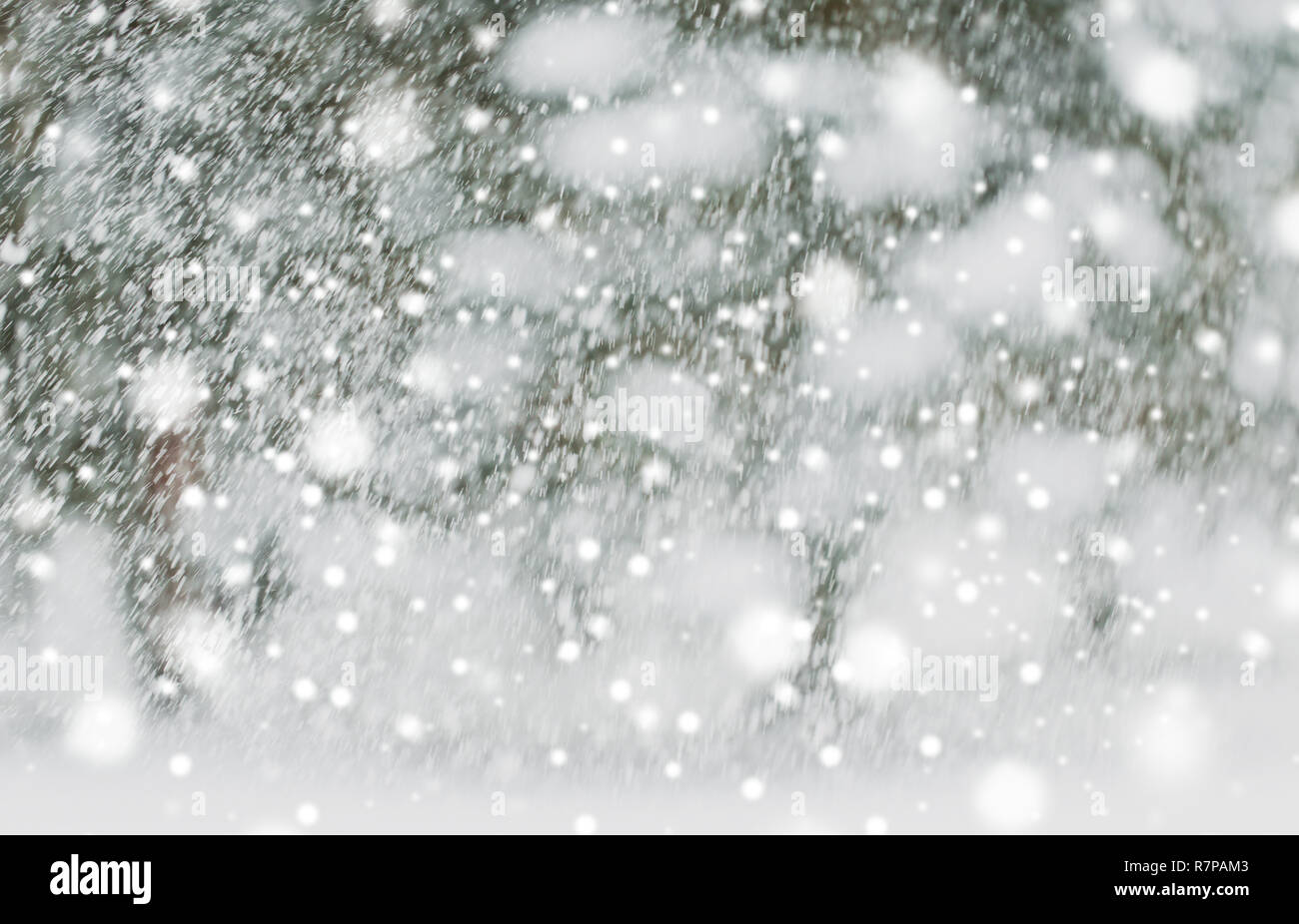 Snowing snowstorm snowfall hi-res stock photography and images - Alamy