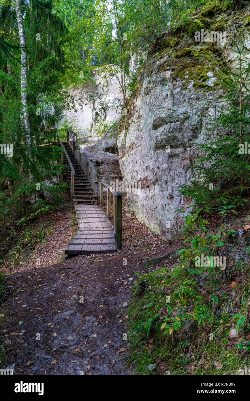 tourist hiking trail track in green summer forest with dark ground and ...