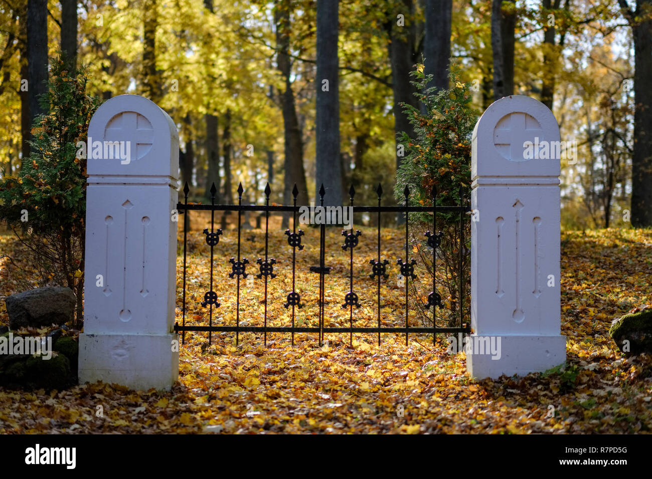 old cemetery gates in autumn with metal bars closed Stock Photo - Alamy